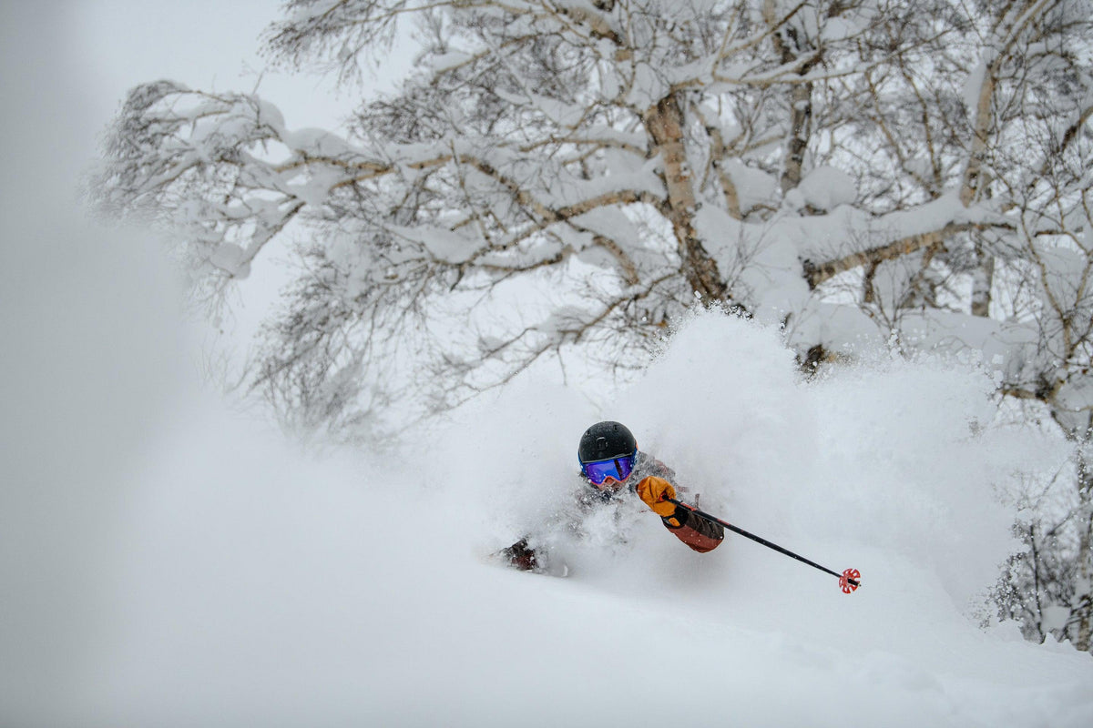 Top Styles for Freeride Backcountry & Nordic Skiing Reviewed By Our Am